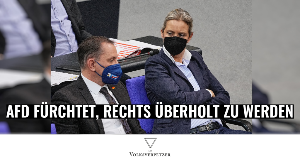 Beef unter Nazis: AfD fürchtet Konkurrenz von den rechtsextremen "Freie ...